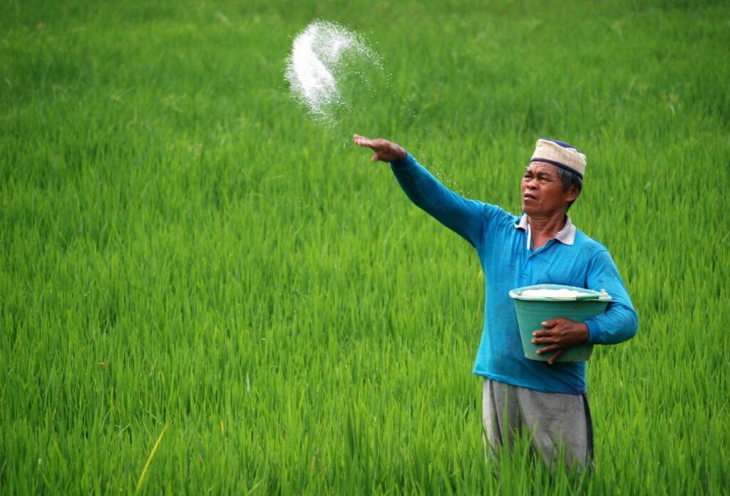 Pekerjaan Petani Adalah - Perumperindo.co.id