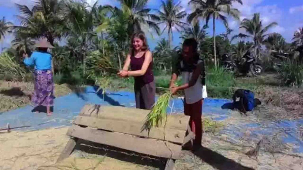 Keindahan Desa Tetebatu yang Menjadi Kandidat Lomba Desa Wisata Terbaik ...