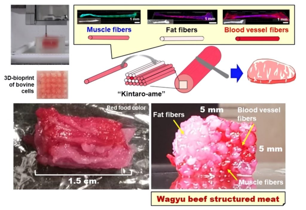 Ilmuwan Jepang Bikin Daging Wagyu dengan Teknologi Cetak 3D, Gimana ...